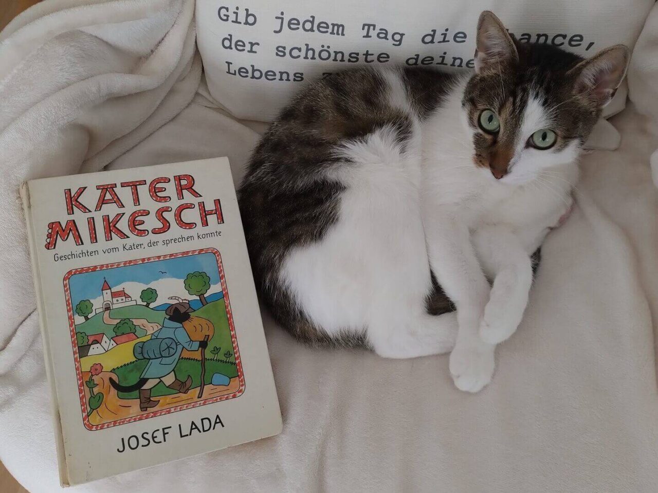 Kater Mikesch – ein Kinderbuch aus Böhmen - Schnurrkultur